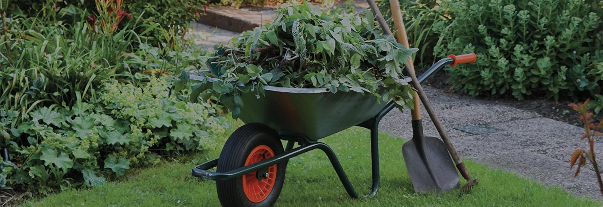 How to De-Clutter Your Garden | Skoup